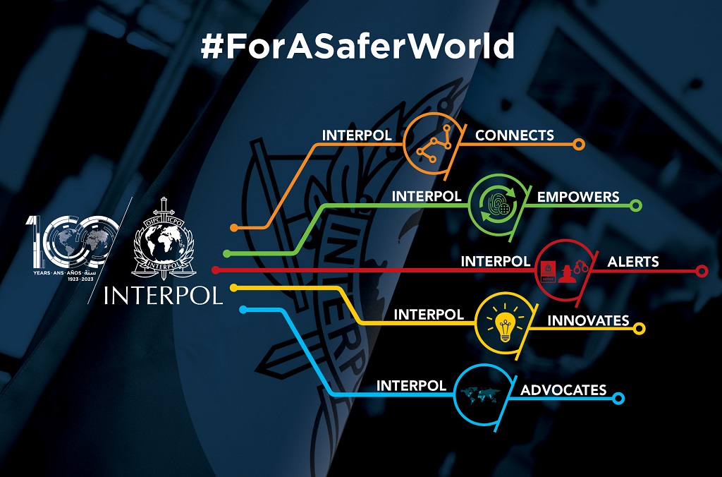 interpol color codes